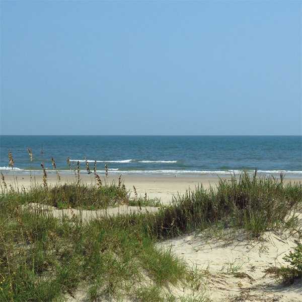 Anchor QEA Federal Government Services